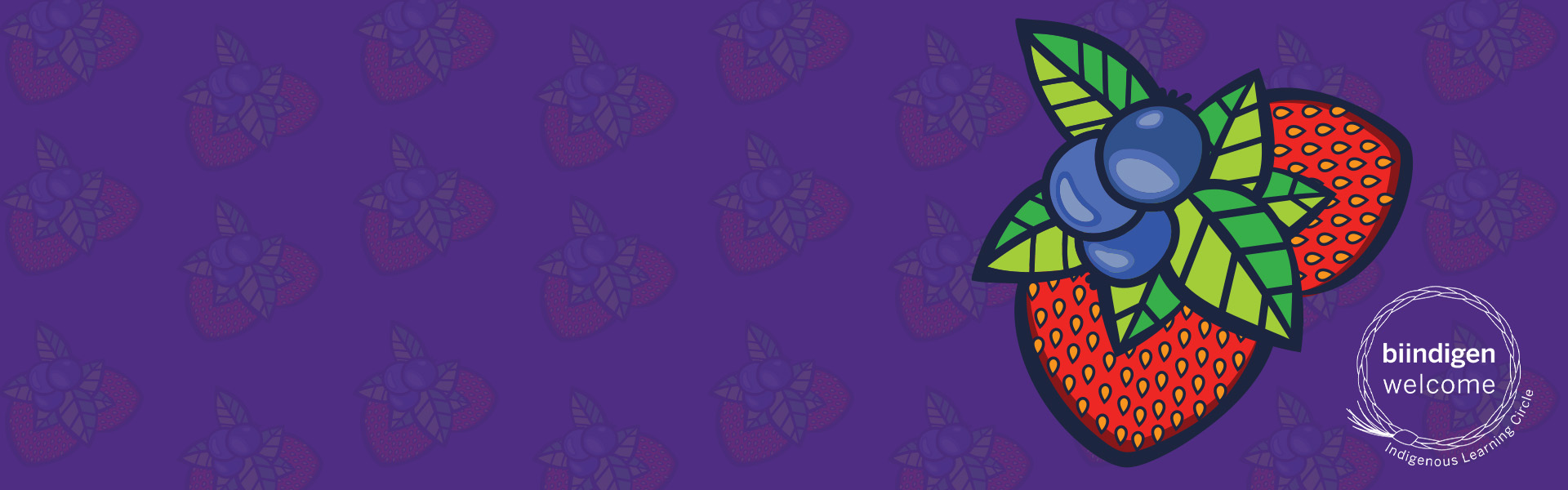 Indigenous Initiatives - Western University